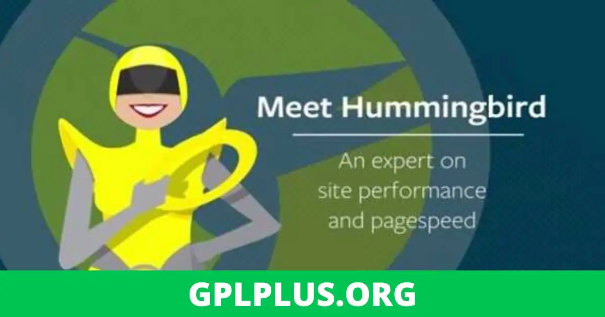 Hummingbird Page Speed Optimization